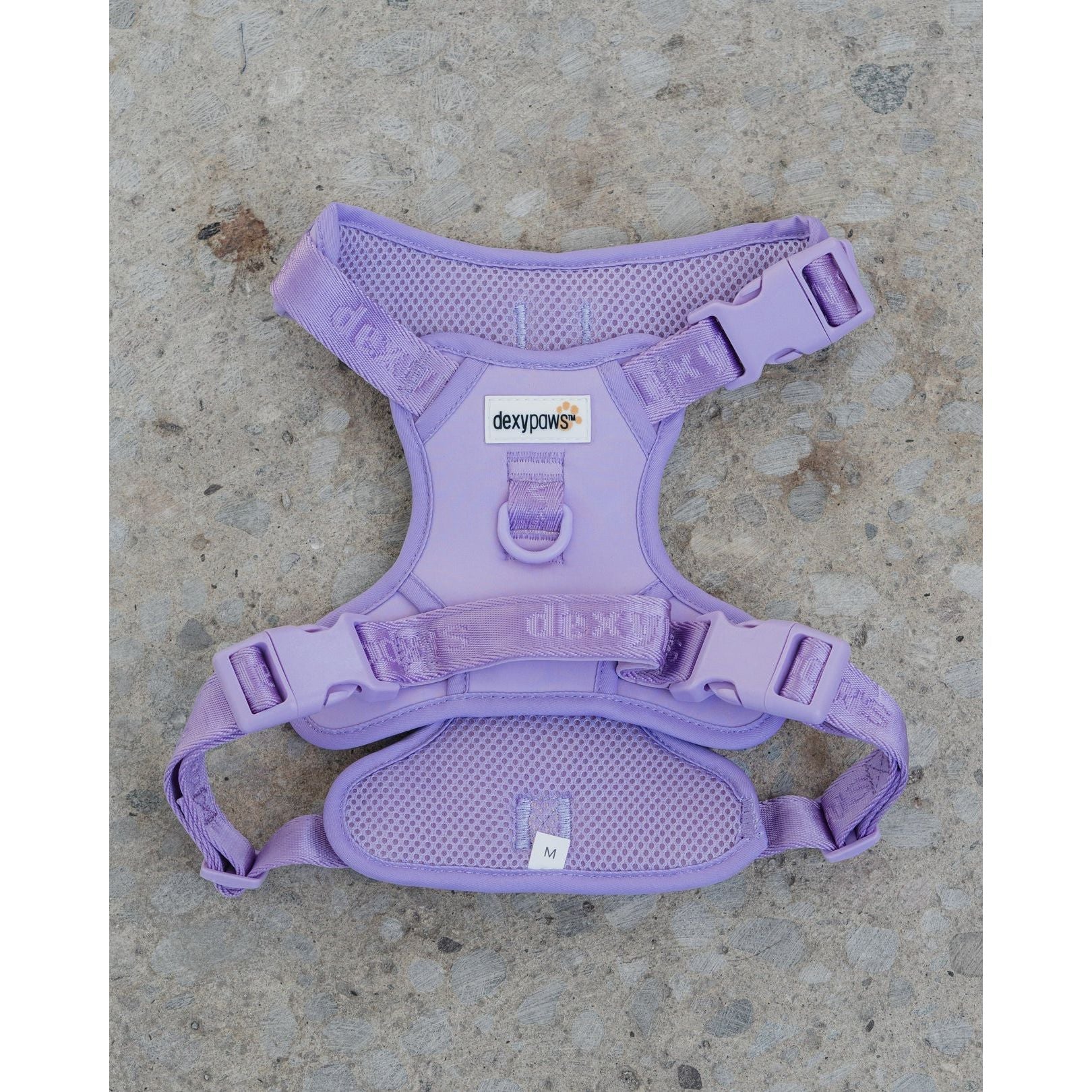Harnais de Marche - DexyPaws – Boutique du Compagnon