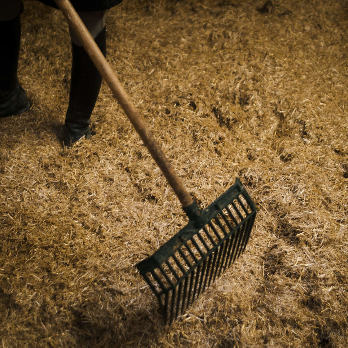 Paille pour Chevaux EquineStraw – Boutique du Compagnon
